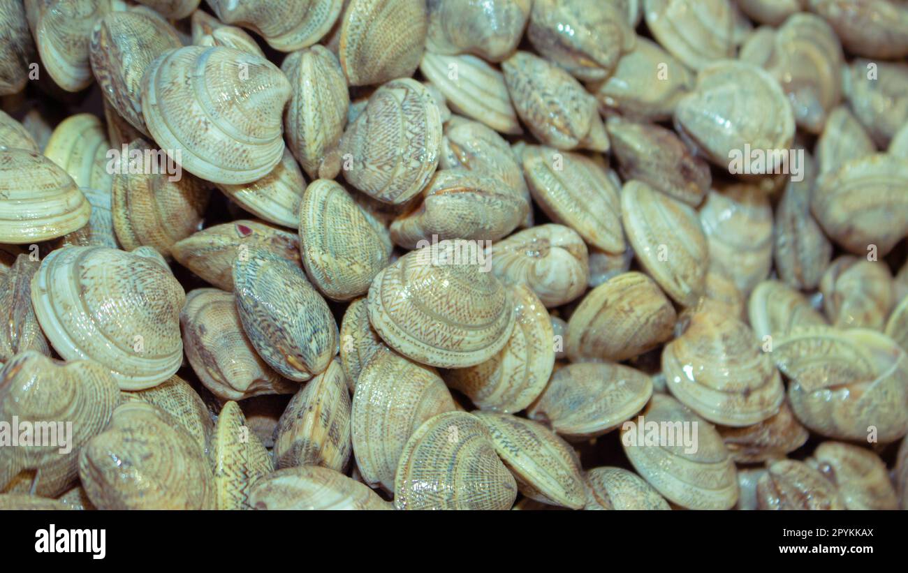 A selection of fresh shellfish in a market Stock Photo - Alamy