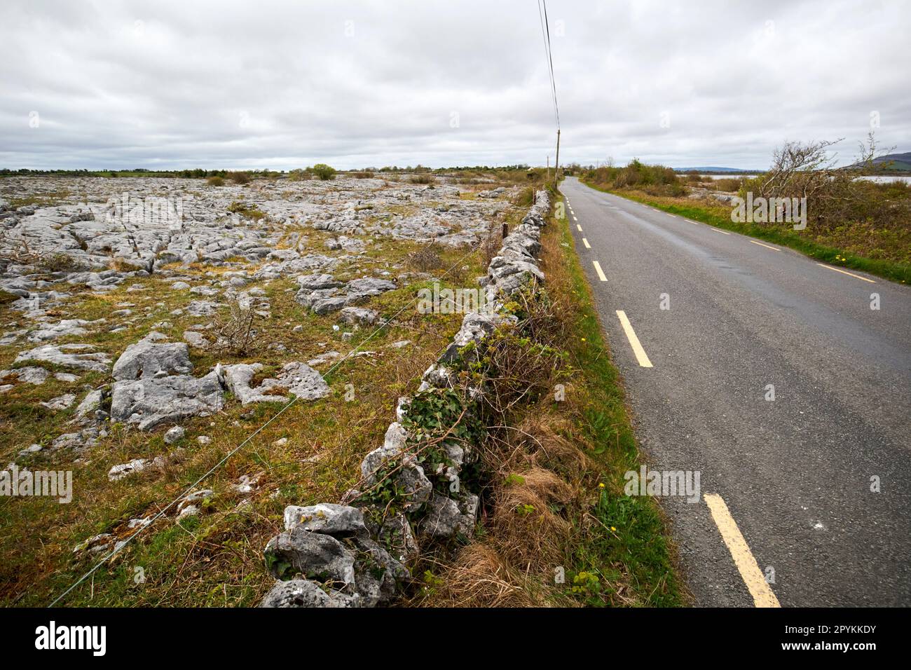 small country road with dry stone wall land boundary through the burren ...