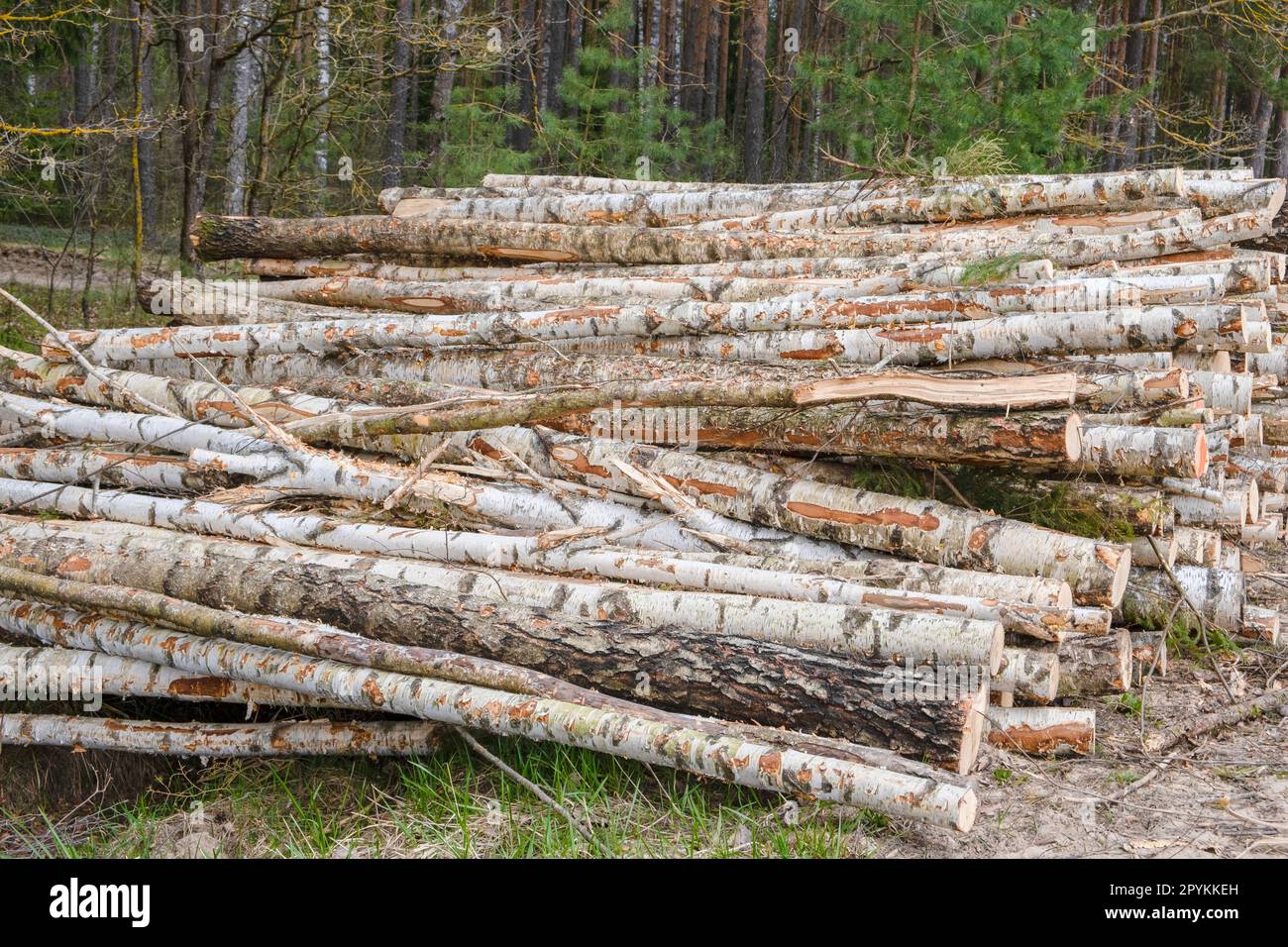 Woodwork disaster hi-res stock photography and images - Alamy