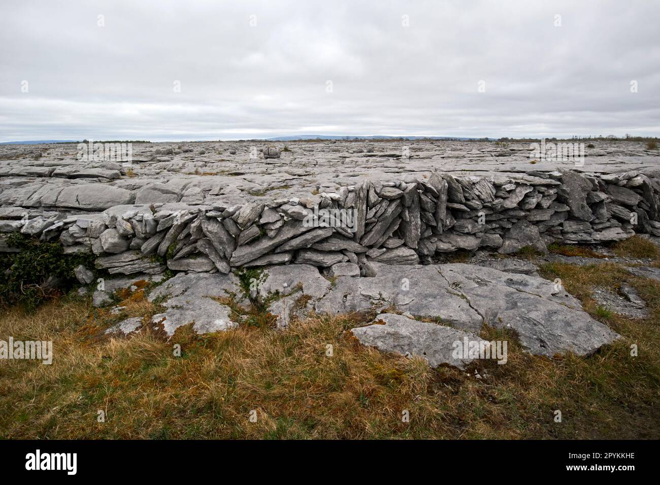 dry stone wall made of local limestone field land boundary the burren ...