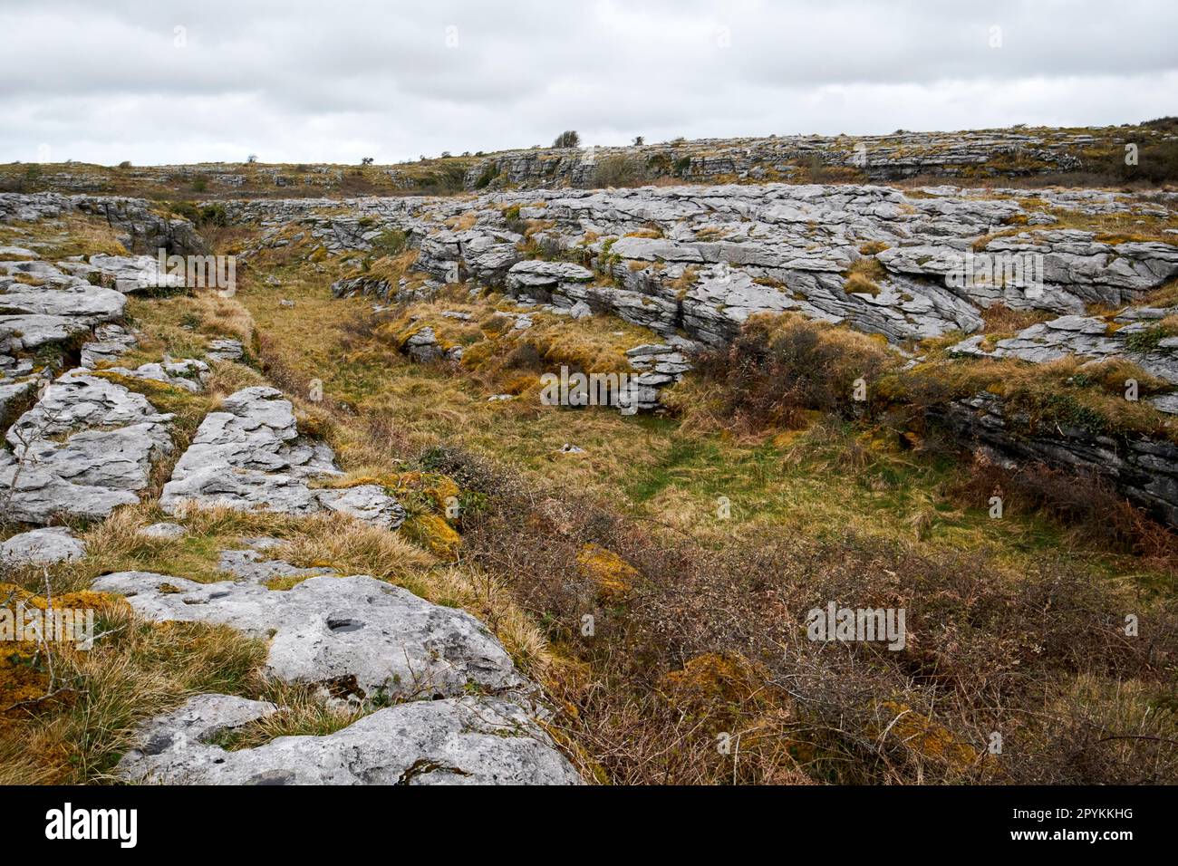 large channel cut through the limestone pavement by water and erosion ...