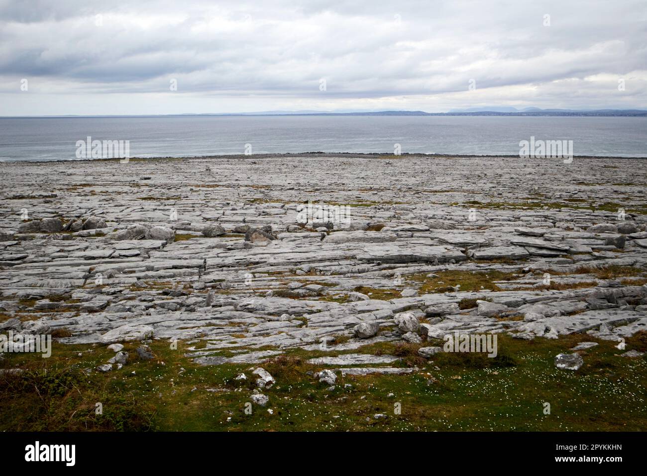 limestone pavement next to the coast of galway bay the burren county ...