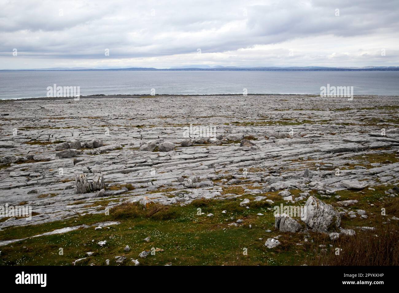 limestone pavement next to the coast of galway bay the burren county ...