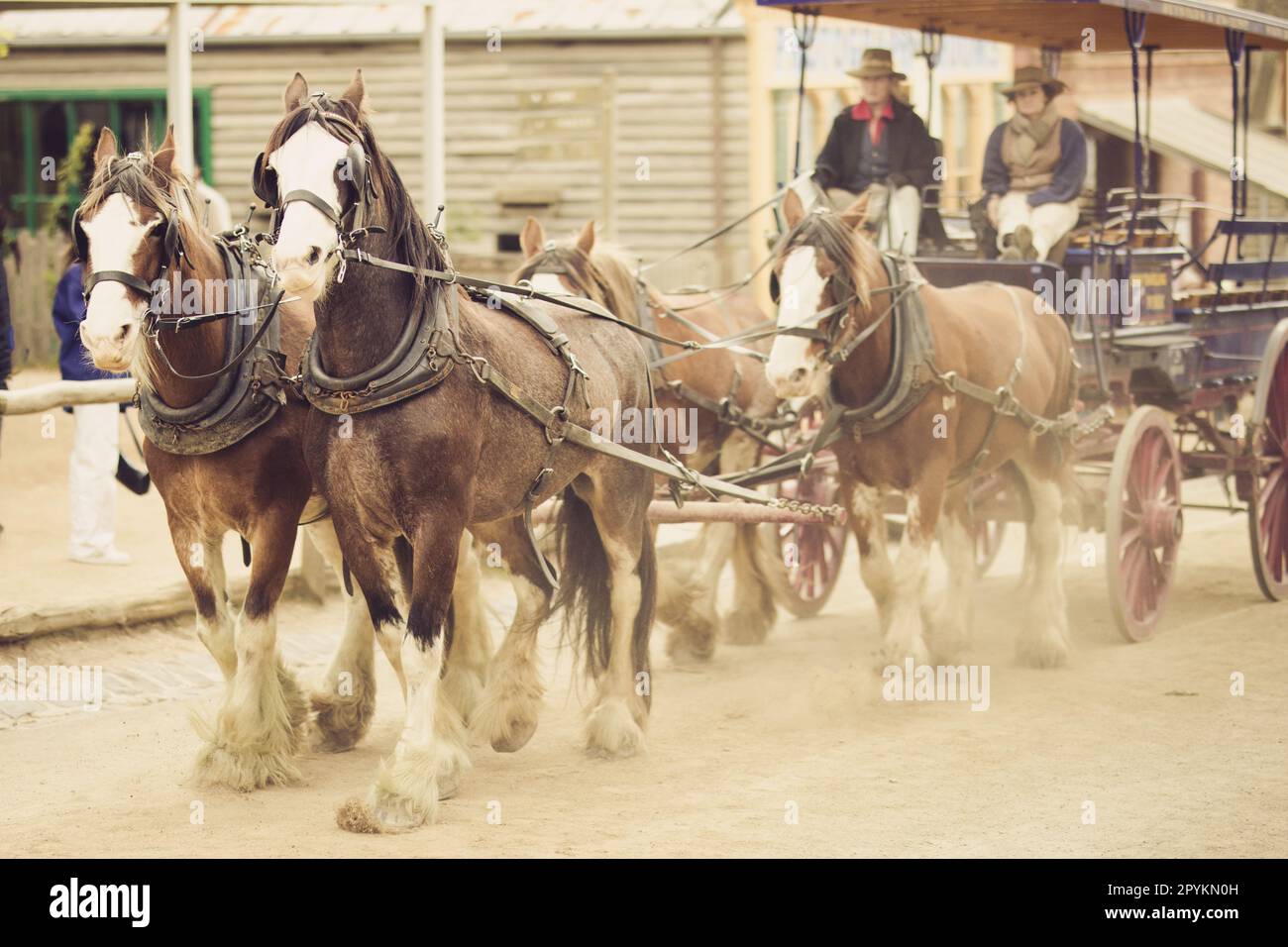 Gold sovereign poster hi-res stock photography and images - Alamy
