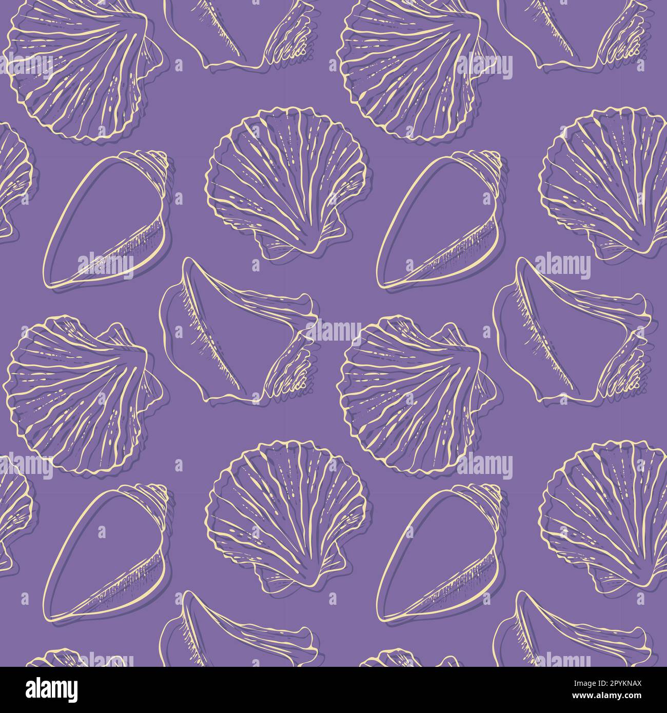 Pattern purple violet with Seashells hand drawn doodle. Vector ...