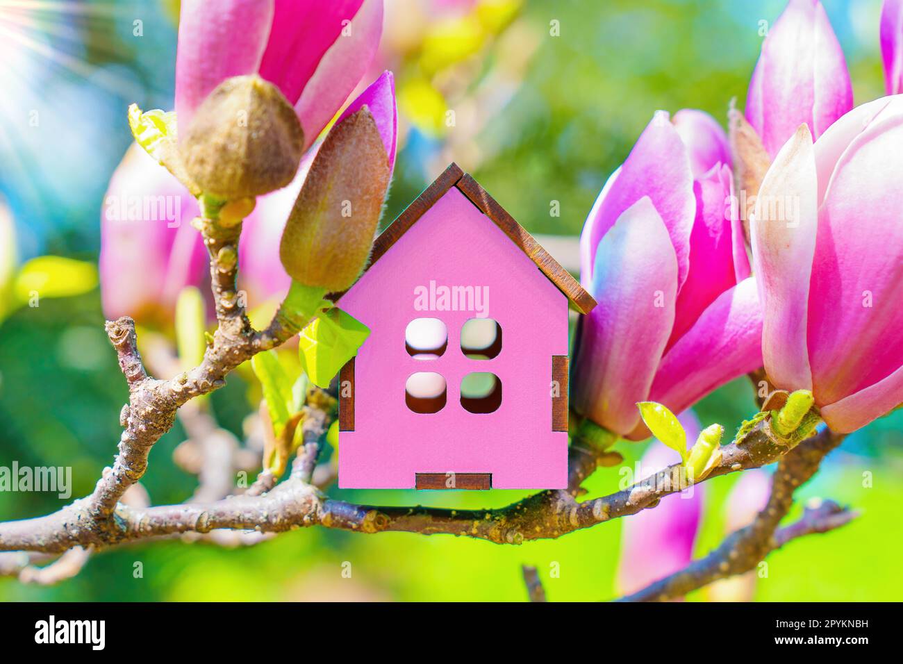A miniature pink house model sits on a branch amidst blooming pink ...