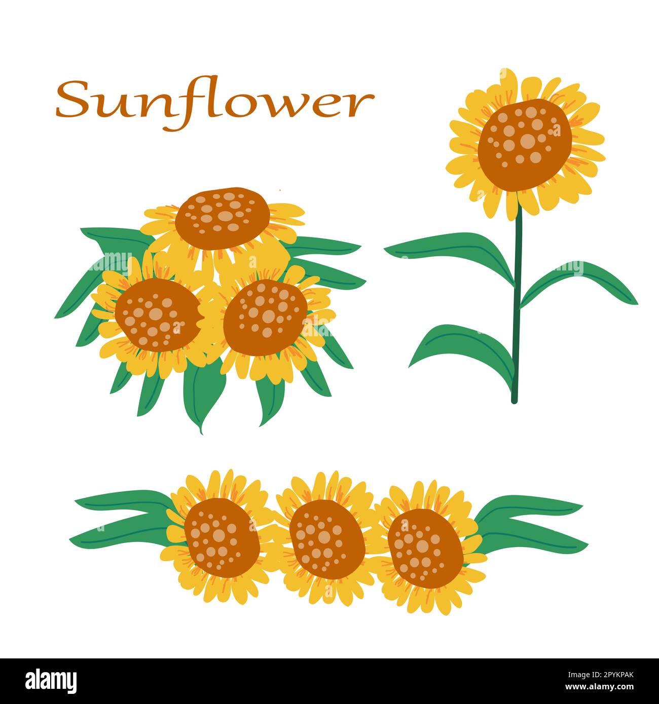 Collection of sunflowers Stock Vector Images - Alamy