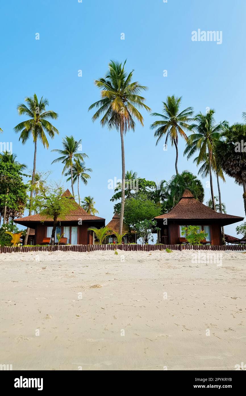 bamboo hut bungalows on the beach in Thailand. simple backpacker accommodation in Thailand Stock ...