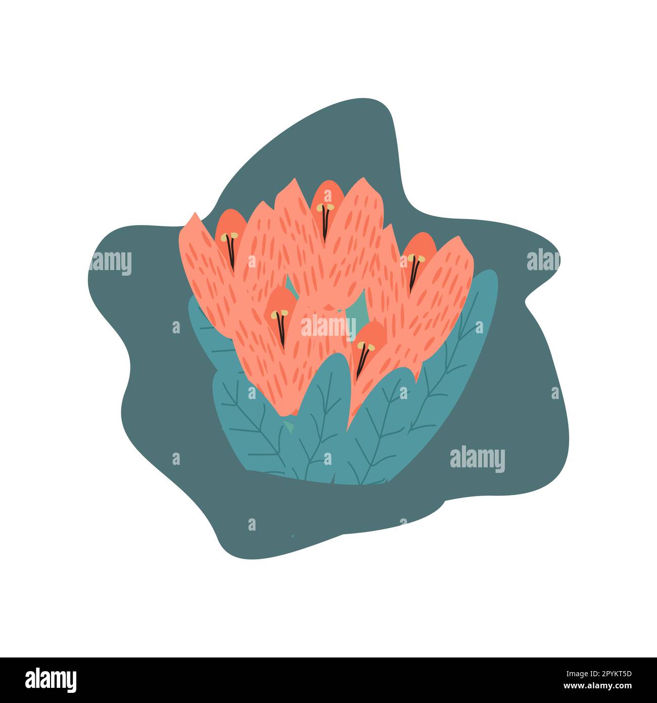Tulip field tulips in Stock Vector Images - Alamy