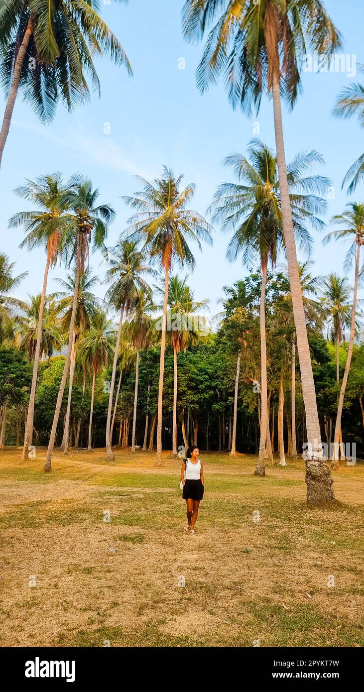 women walking under palm trees Palm trees with a blue sky and clouds in ...