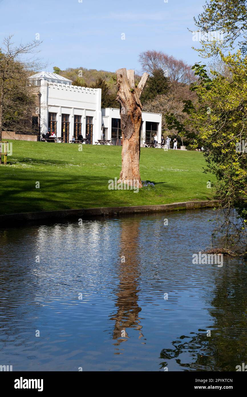 View of the surviving remains of Kearsney Abbey, the newly restored ...