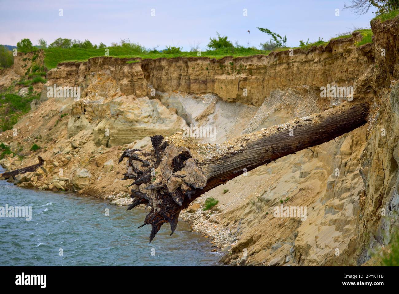 underground soil layer of cross section earth, erosion ground with ...