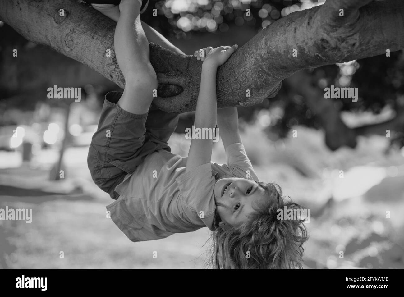 Cute blonde child boy hangs on a tree branch. Summer holidays, little ...