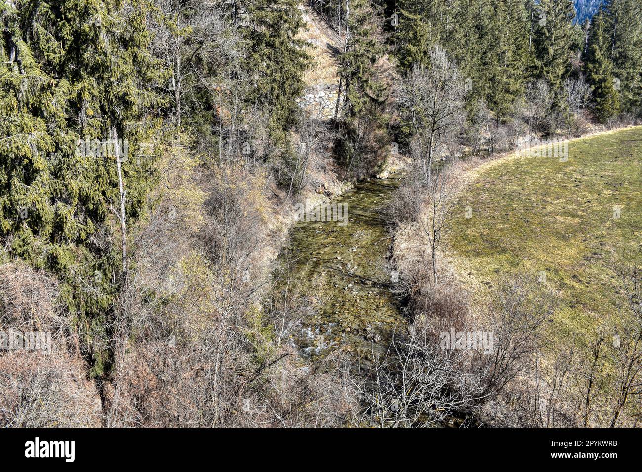 Fluss, Pustertal, Antholzer Bach, Bach, Südtirol, Italien, Rasen ...