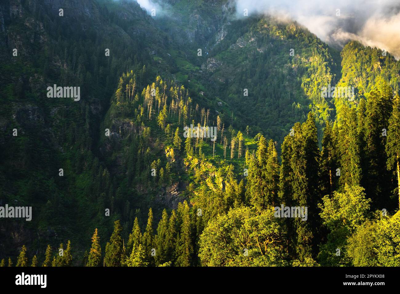 Beautiful view of Himalayan mountains on the trekking route to Kheerganga, Nakthan, Parvati ...