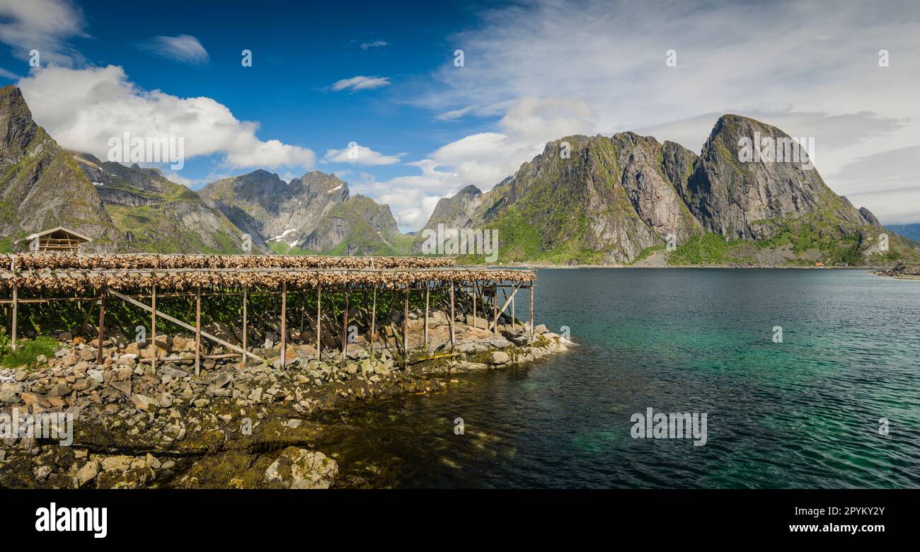 Fish drying racks in Hamnoy, Lofoten Islands, Norway Stock Photo - Alamy
