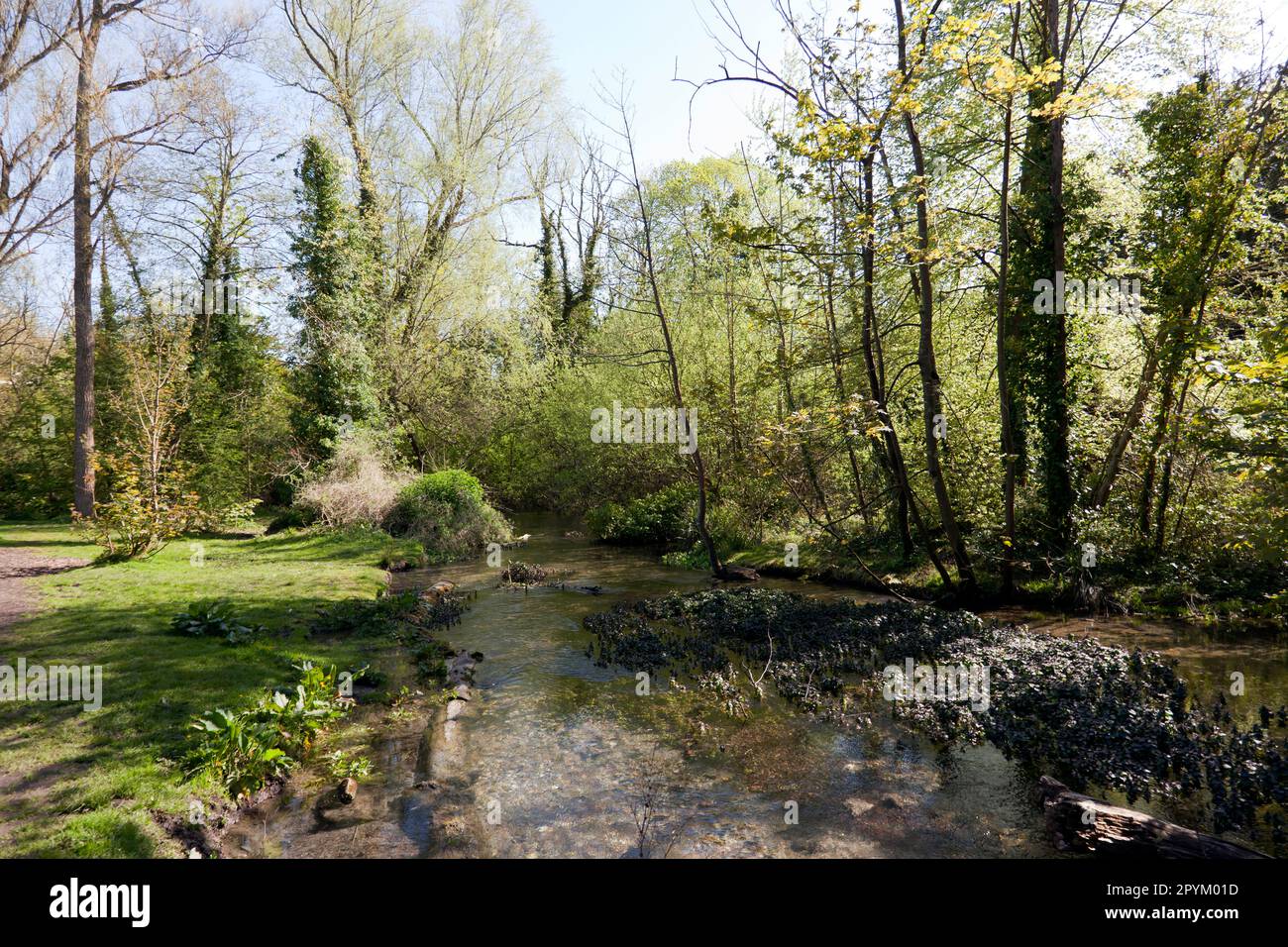 A Beautiful section of the River Dour, as it runs through Kearsney ...