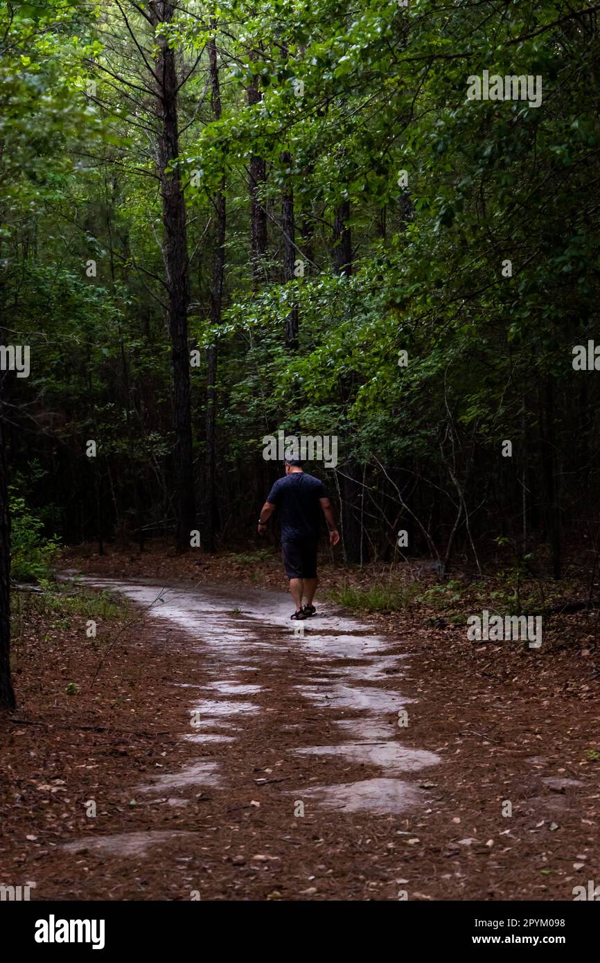 A man walking alone in the woods along the path Stock Photo - Alamy