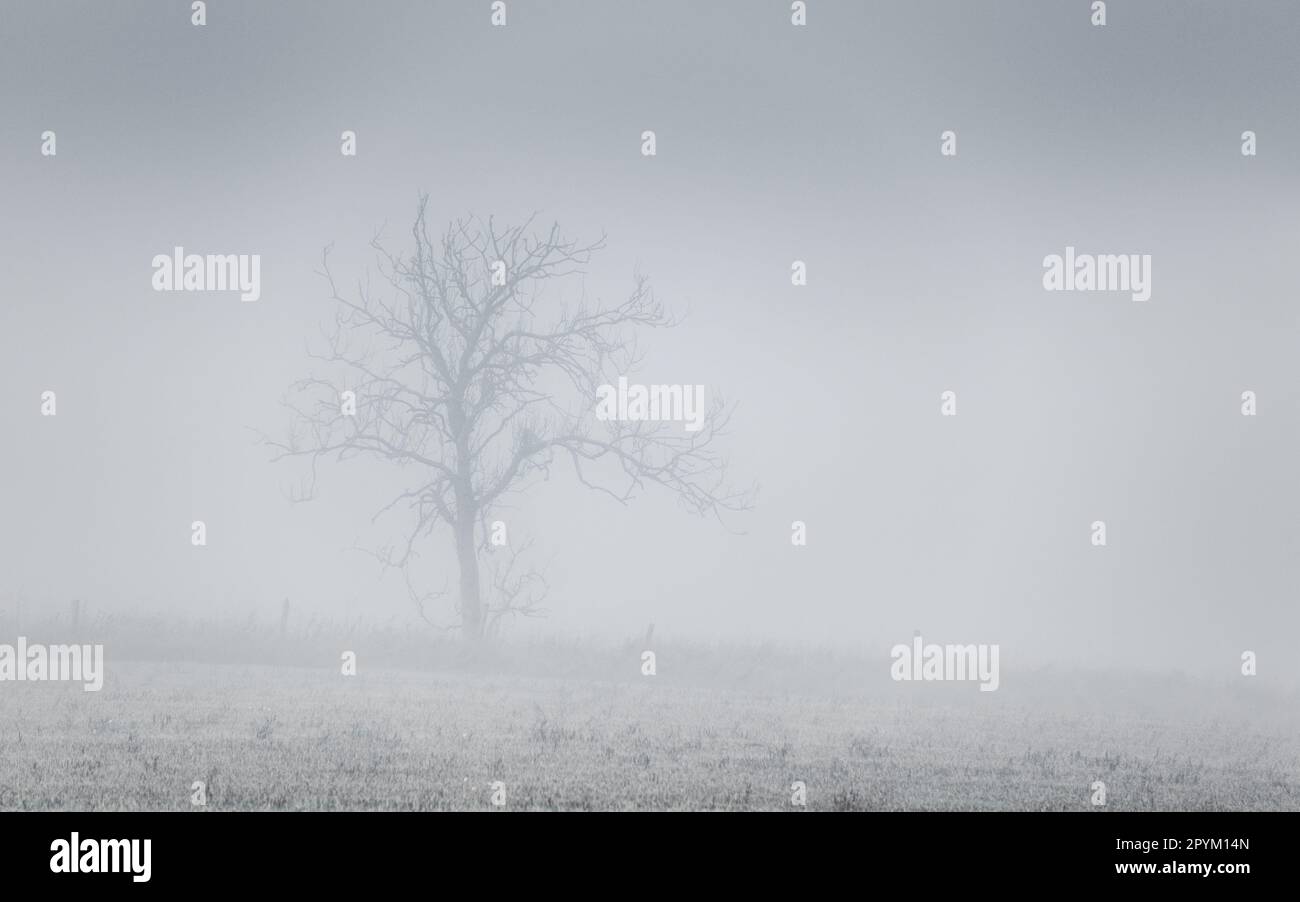 Intimate details hi-res stock photography and images - Alamy