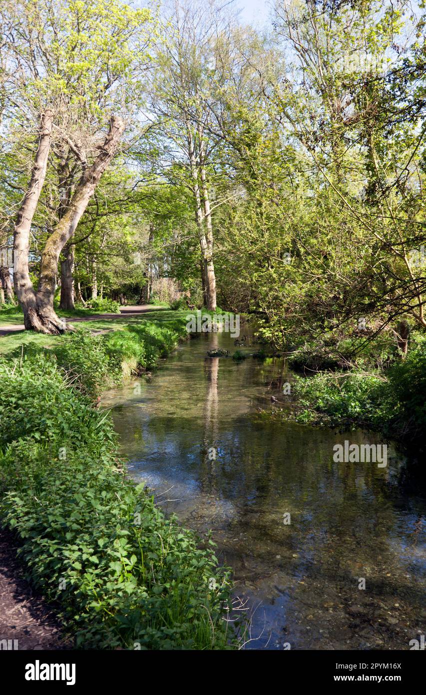 A Beautiful section of the River Dour, as it runs through Kearsney ...