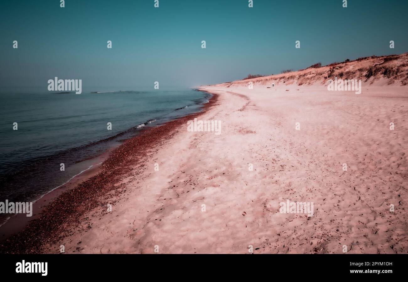 A tranquil beach is pictured, with the sand being lapped by the rolling ...