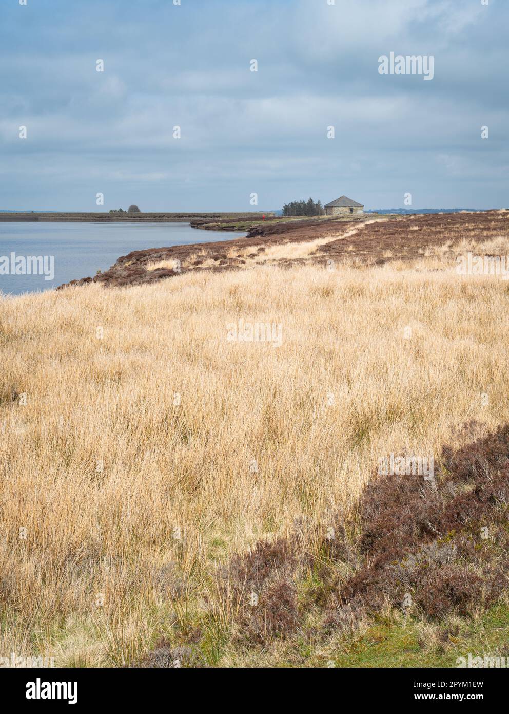 Smiddy Shaw Reservoir, North Pennines, sun on grasses Stock Photo - Alamy