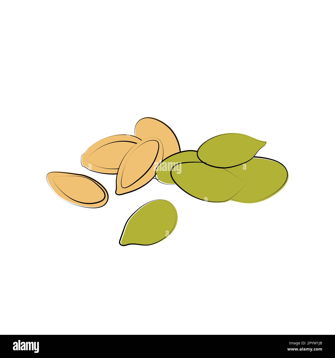 Pumpkin seeds vector. Vegetarian food or snack illustration Stock ...