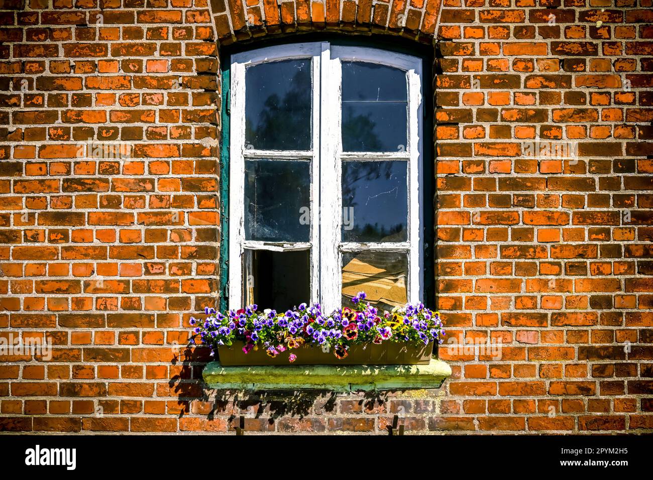Old window and flowers in a window box in Ochsenwerder, Vier- und ...