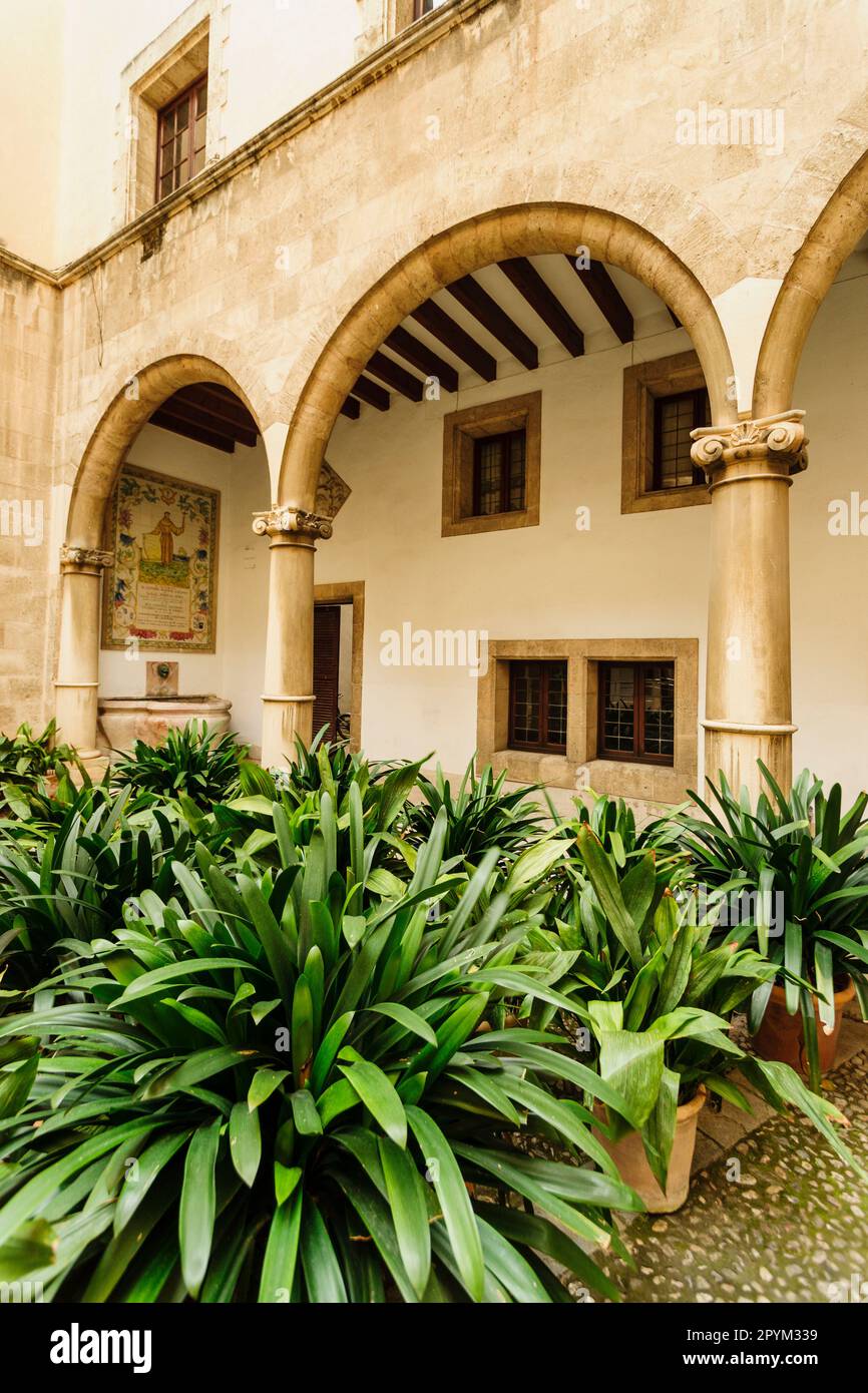 general studio Luliano, former Medieval University of Mallorca -Royal ...