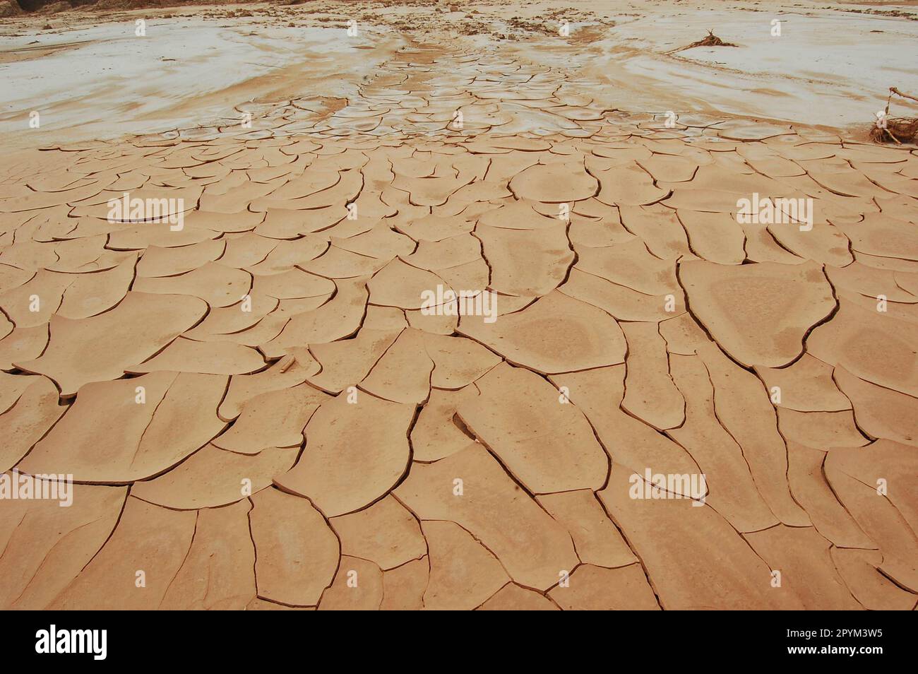 A scene of a desolate desert landscape with a cracked earth surface ...