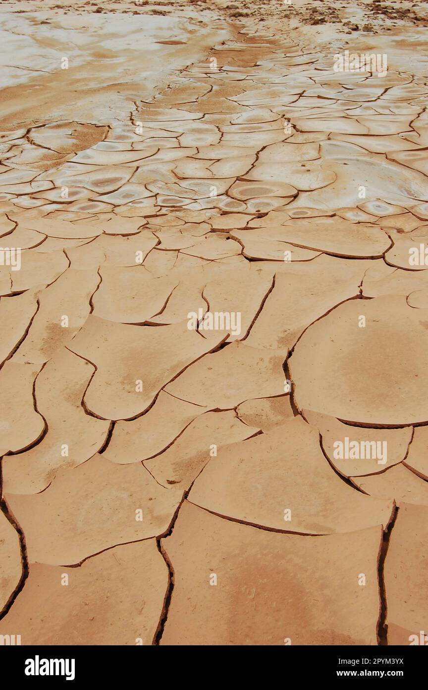 A scene of a desolate desert landscape with a cracked earth surface ...