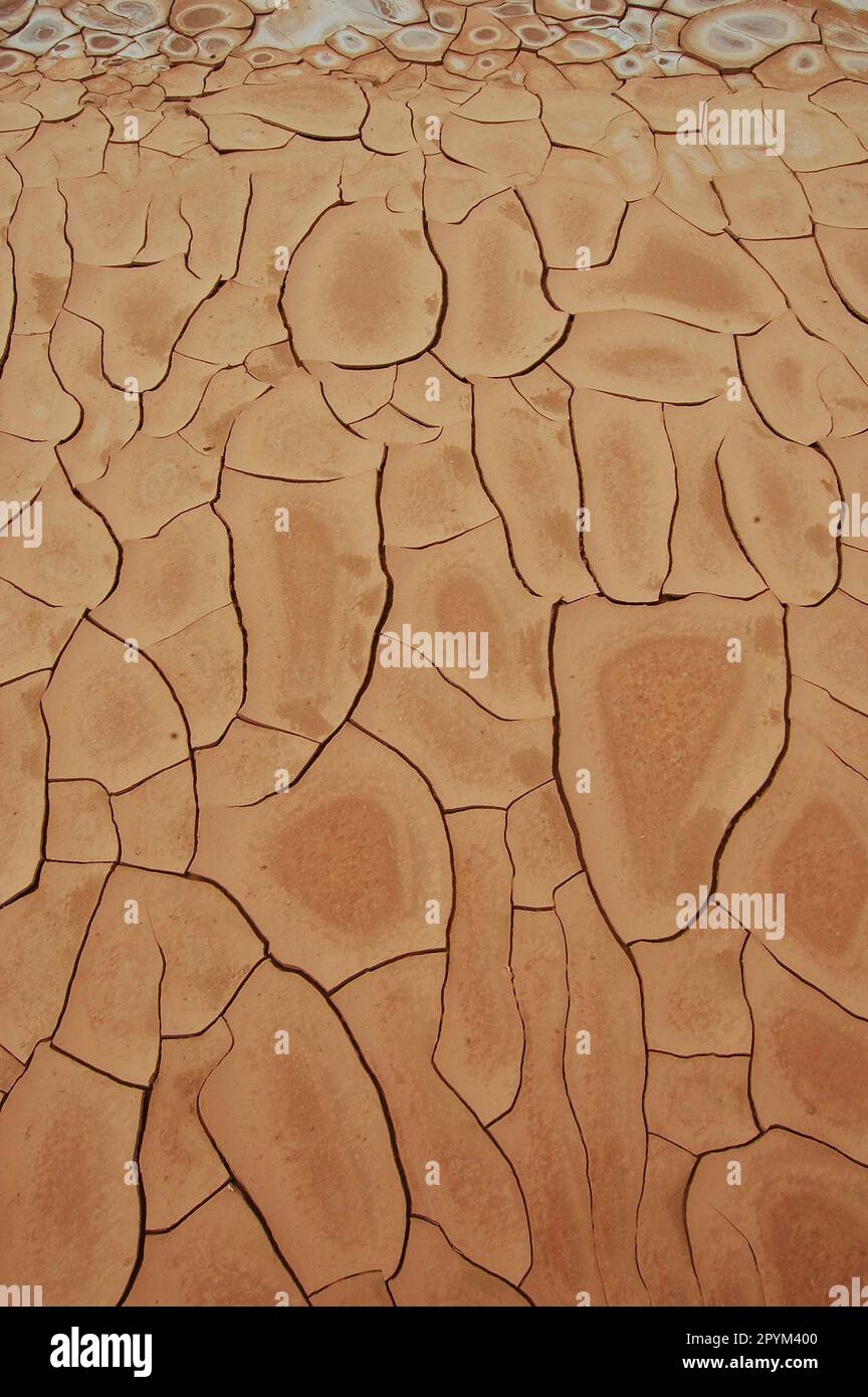 A scene of a desolate desert landscape with a cracked earth surface ...