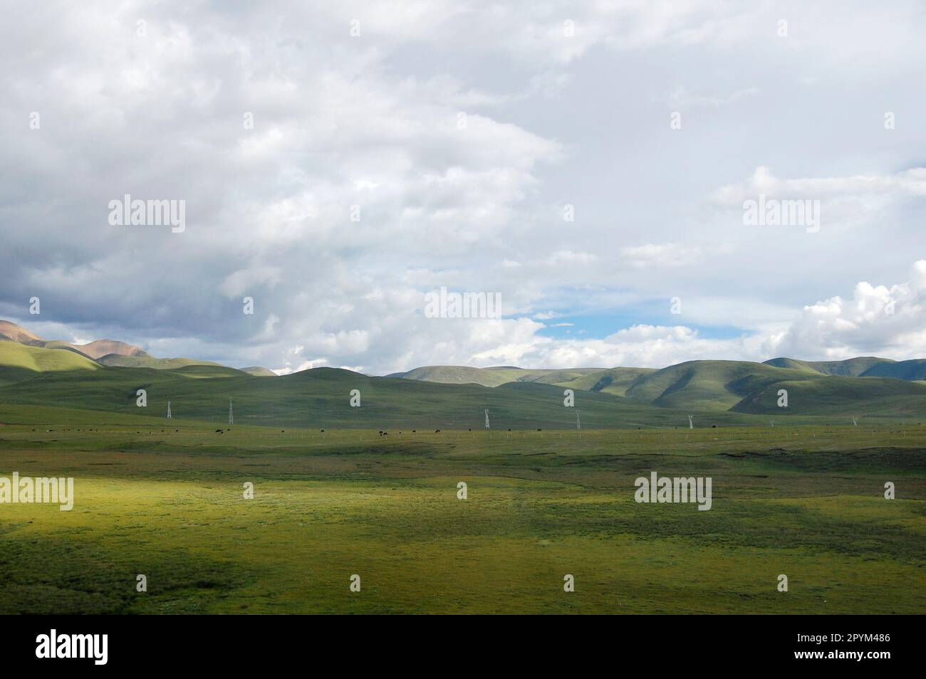 Scenic landscape featuring rolling hills hi-res stock photography and ...