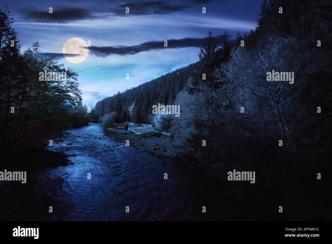 nature scenery with mountain river at night. green environment ...