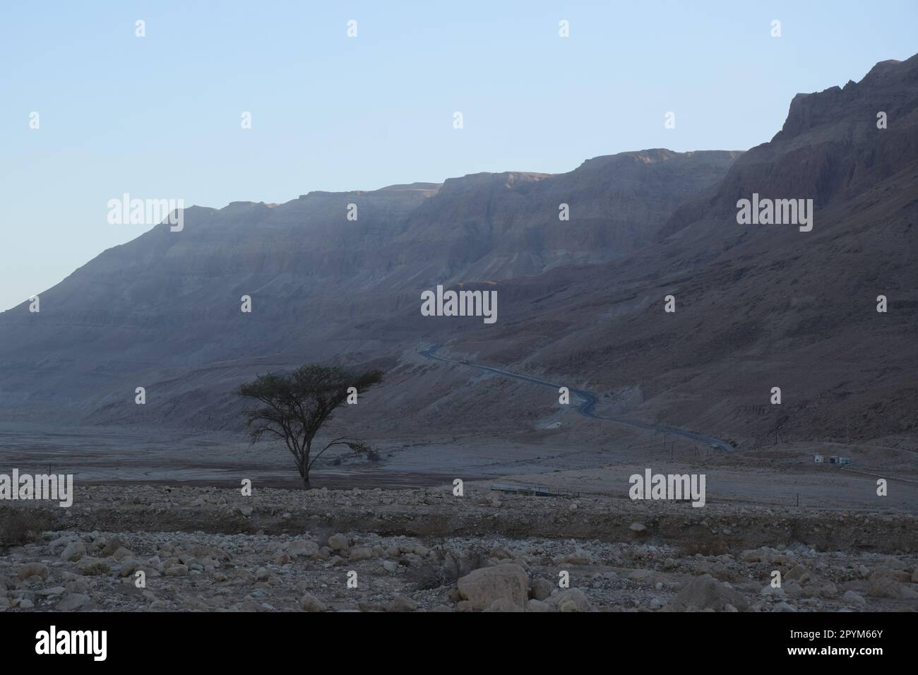 Receding sea level and dried out coastline of the Dead Sea: Driving ...