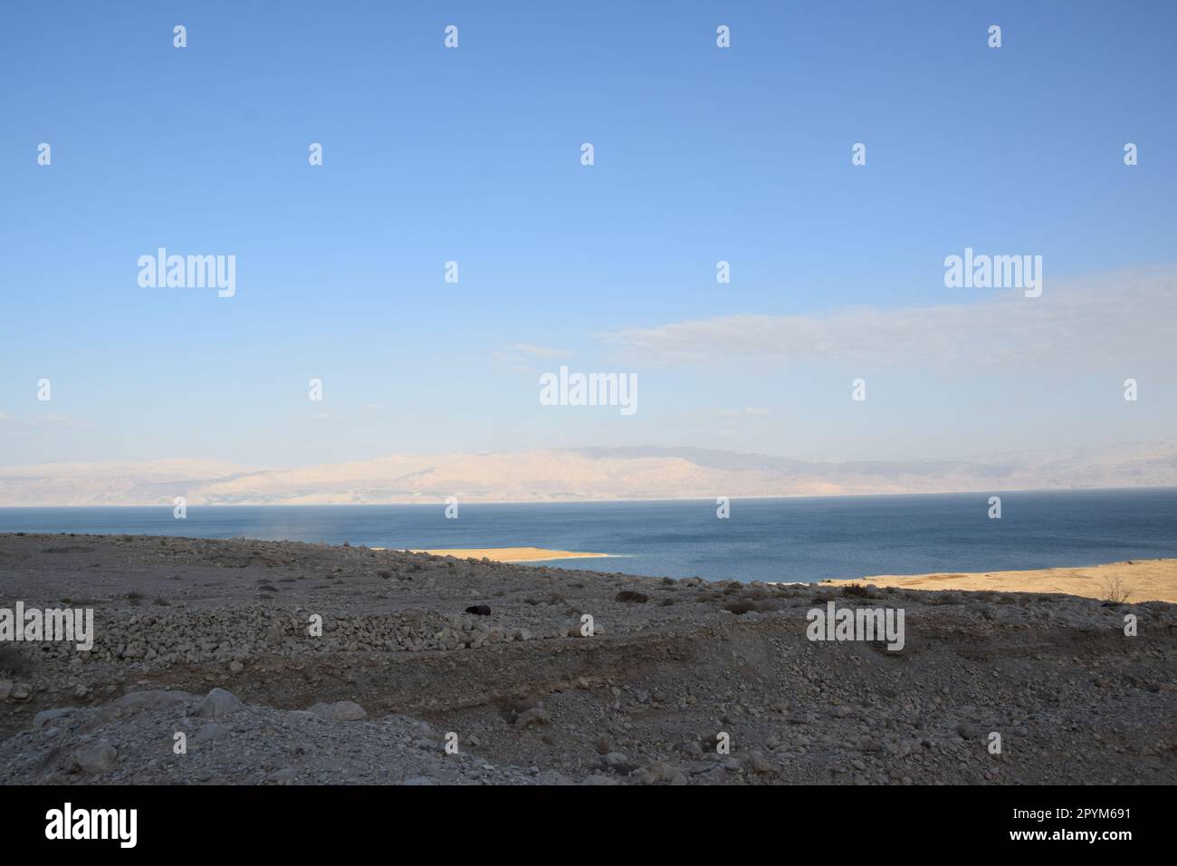 Receding sea level and dried out coastline of the Dead Sea: Driving ...