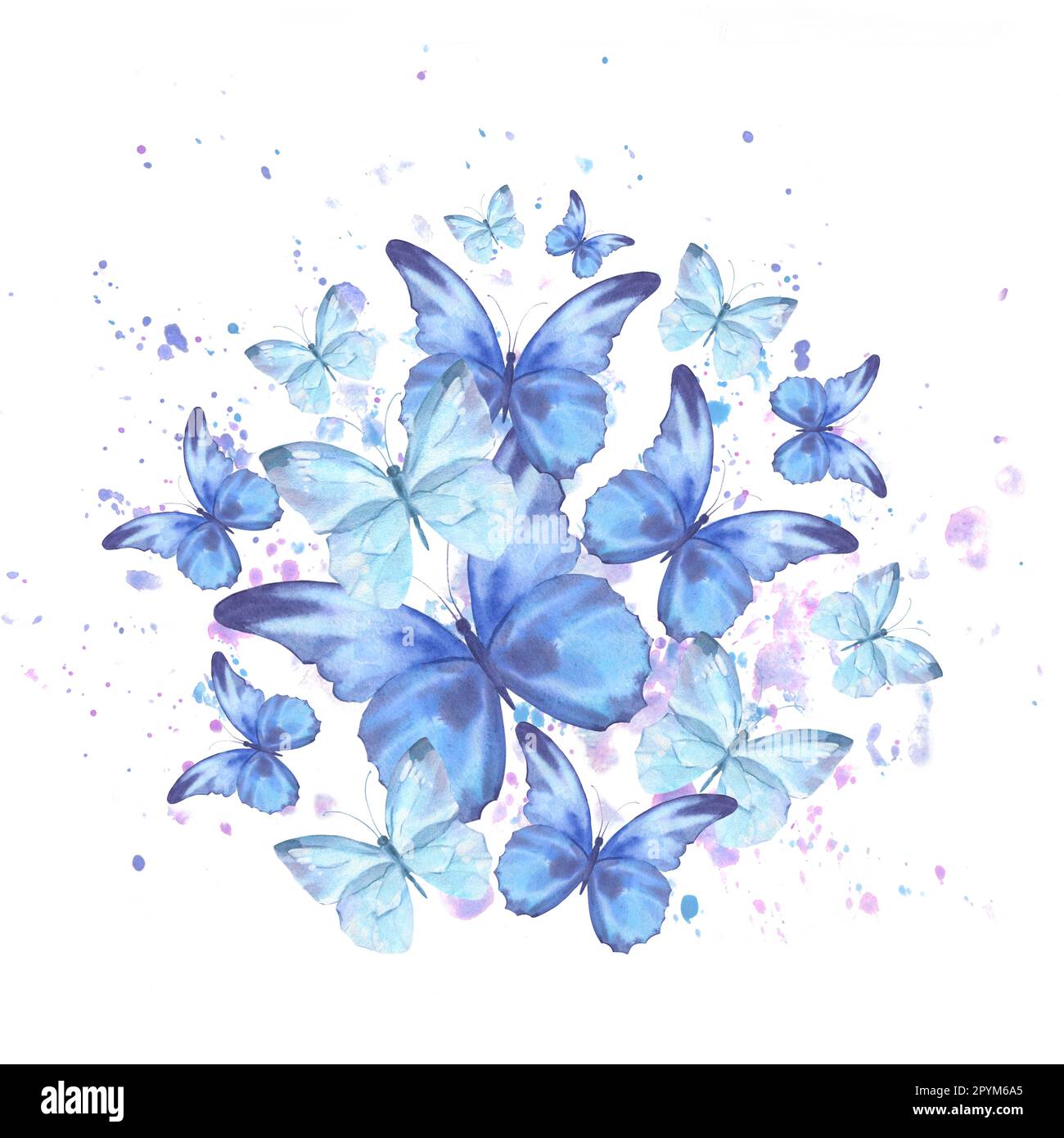 Watercolor illustration with delicate butterflies are blue, flying in ...