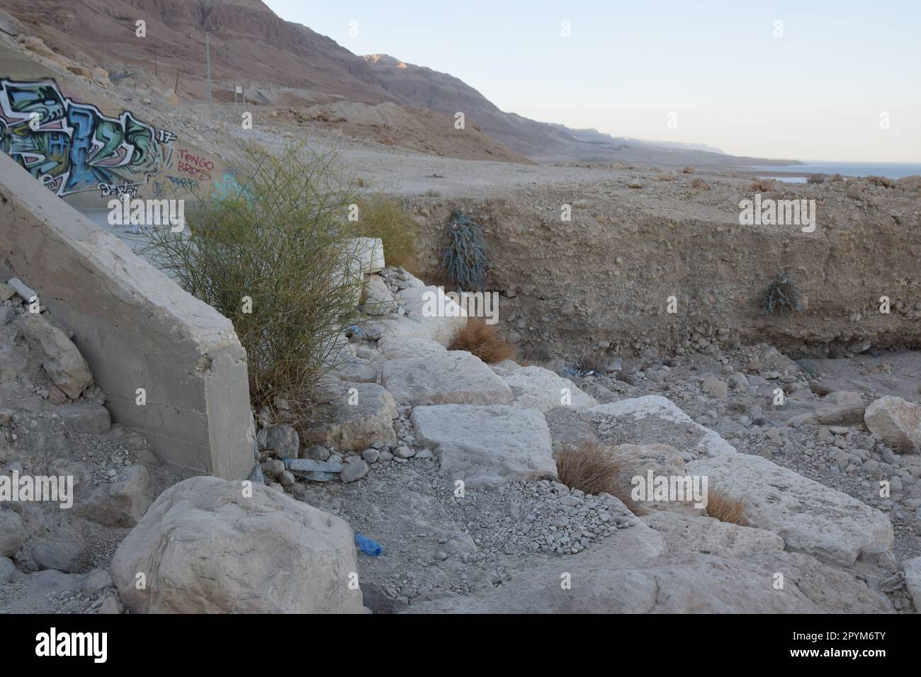 Remains of Mineral Beach and the Hot Springs - Receding sea level and ...