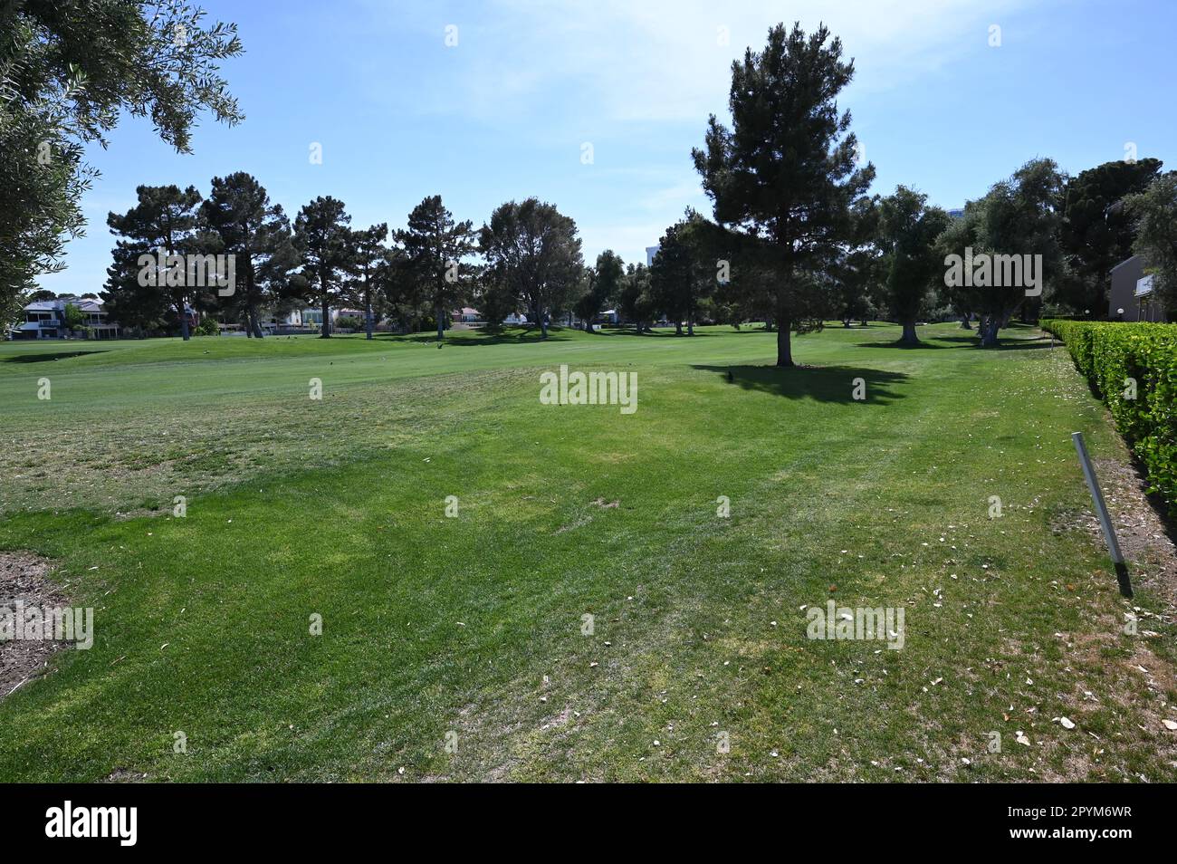 Luxury residential area Lawn and golf course in the middle of Las Vegas ...