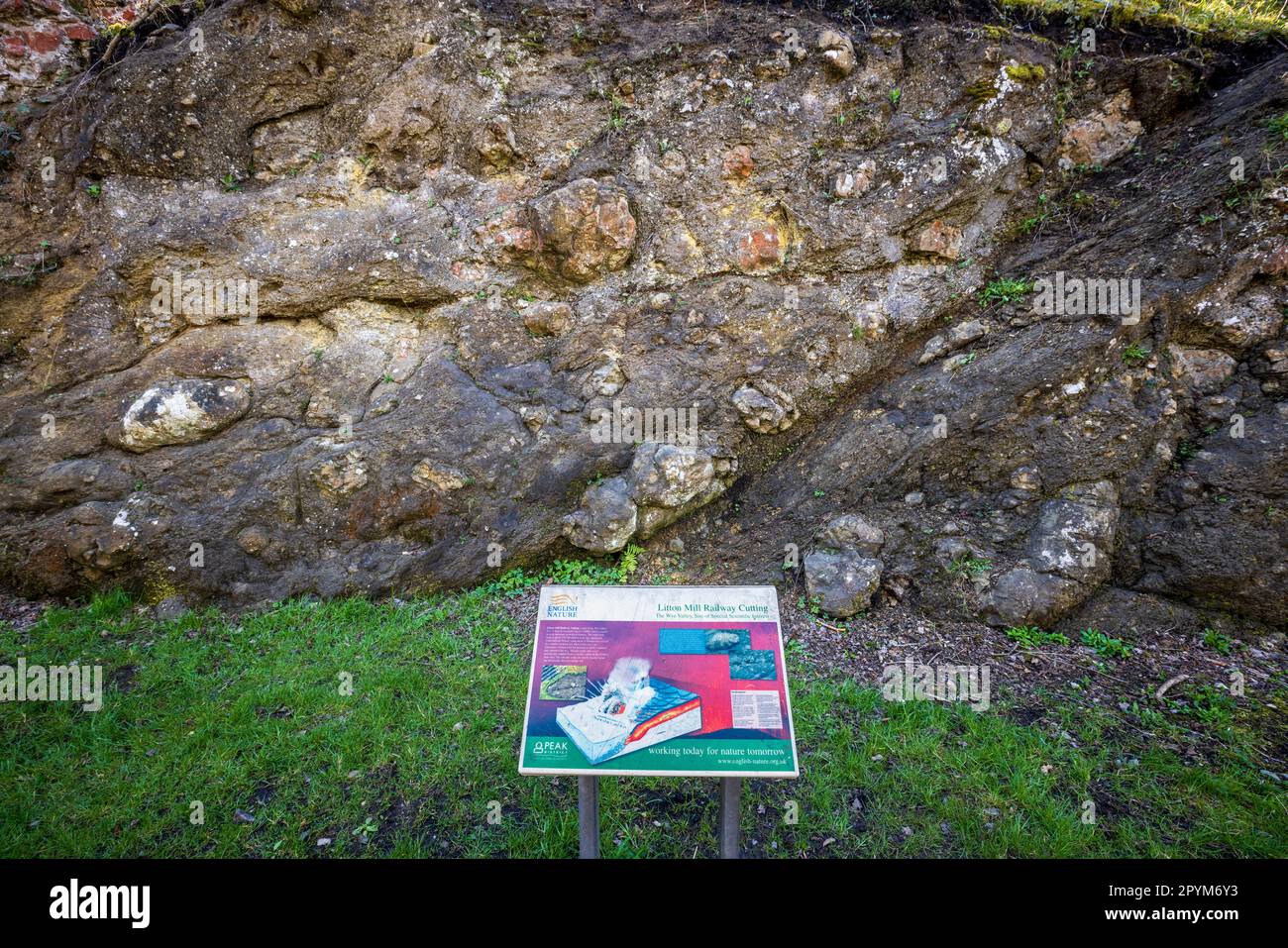 Volcanic rocks at Litton Mill Railway Cutting on the Monsal Trail, Peak ...