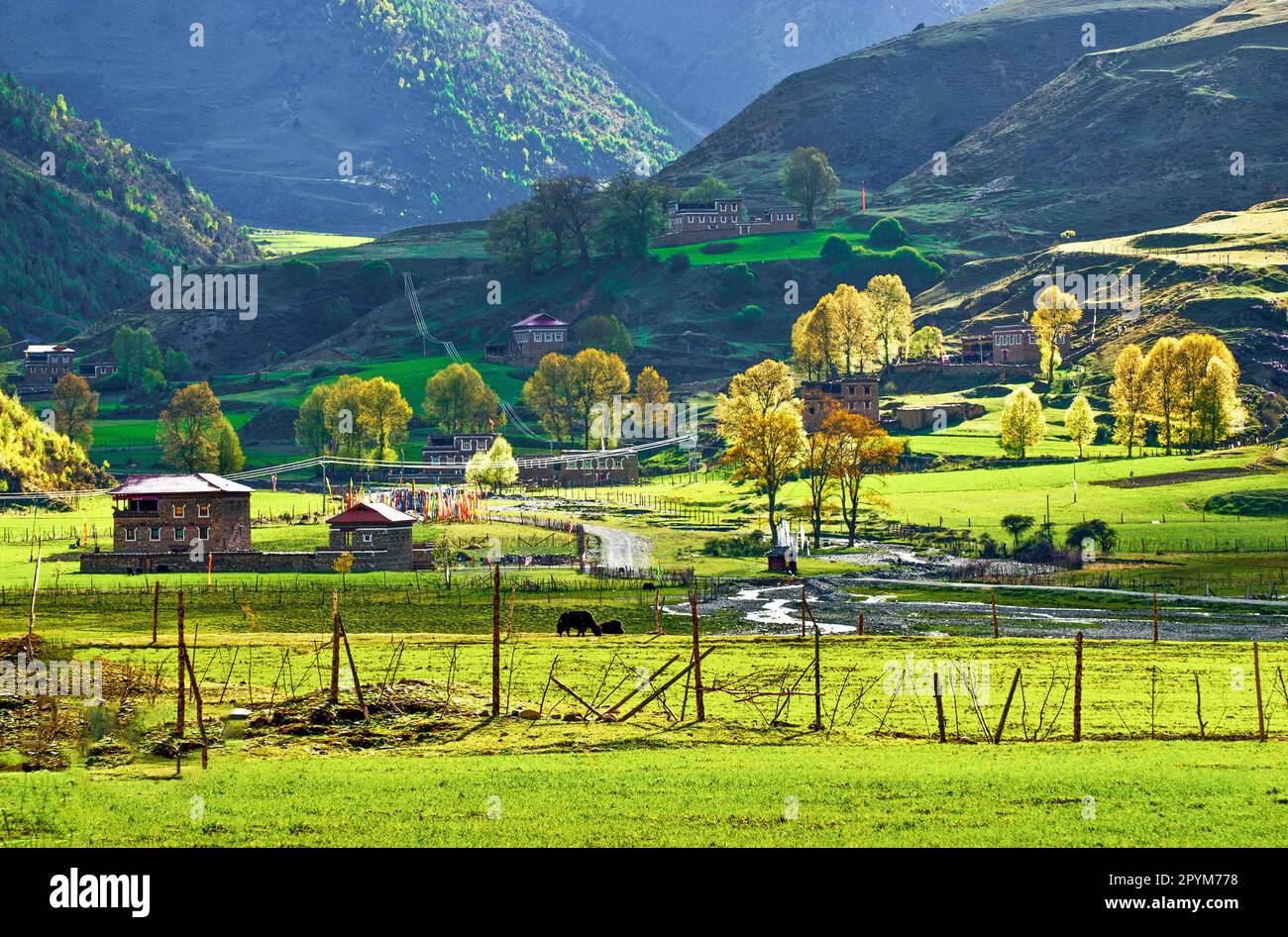 Prairie farm hi-res stock photography and images - Alamy