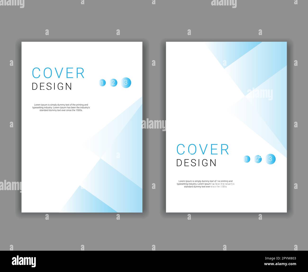 Book Cover Design Template, A4 size Stock Vector Image & Art - Alamy
