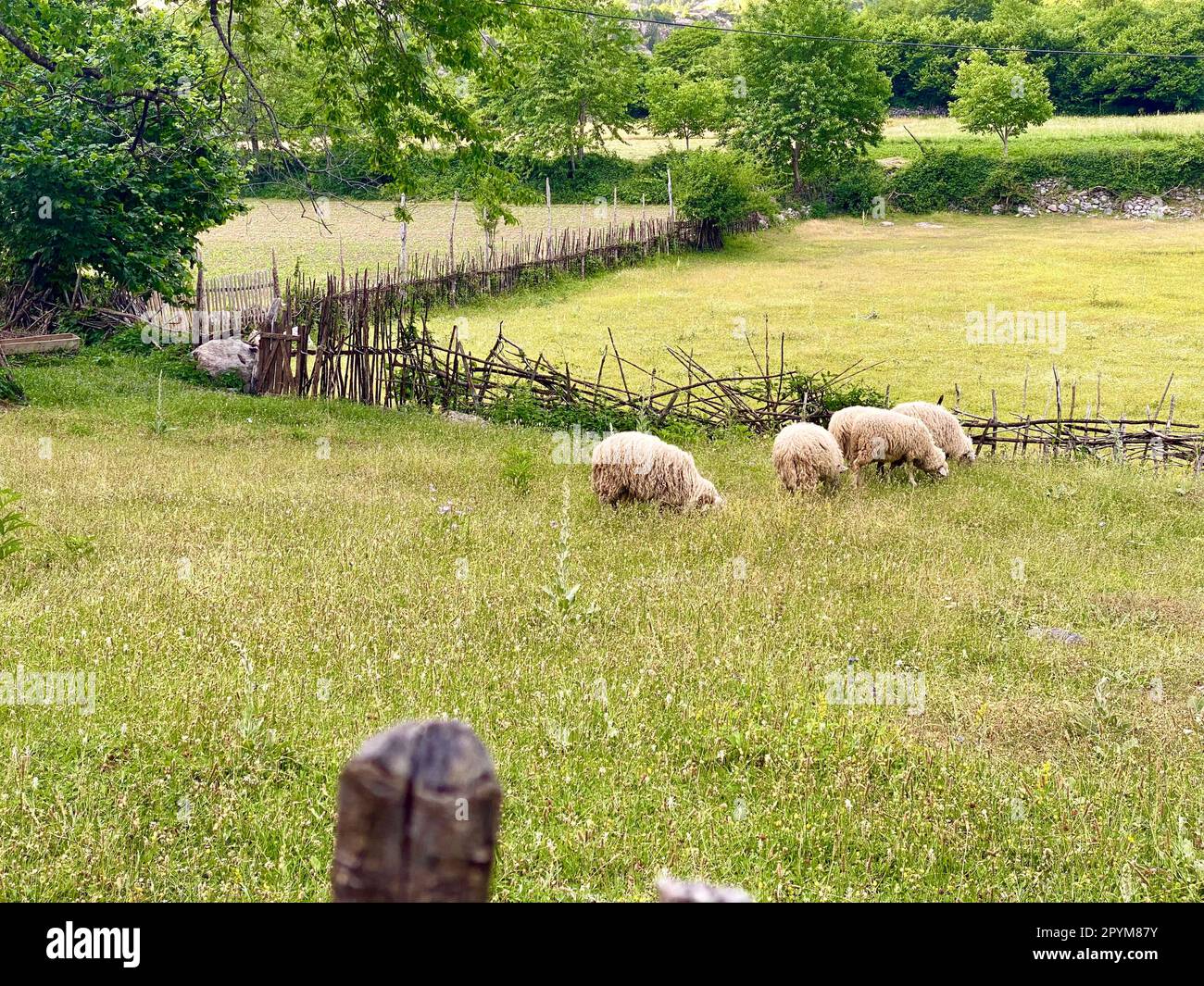 Theth tourist hi-res stock photography and images - Alamy