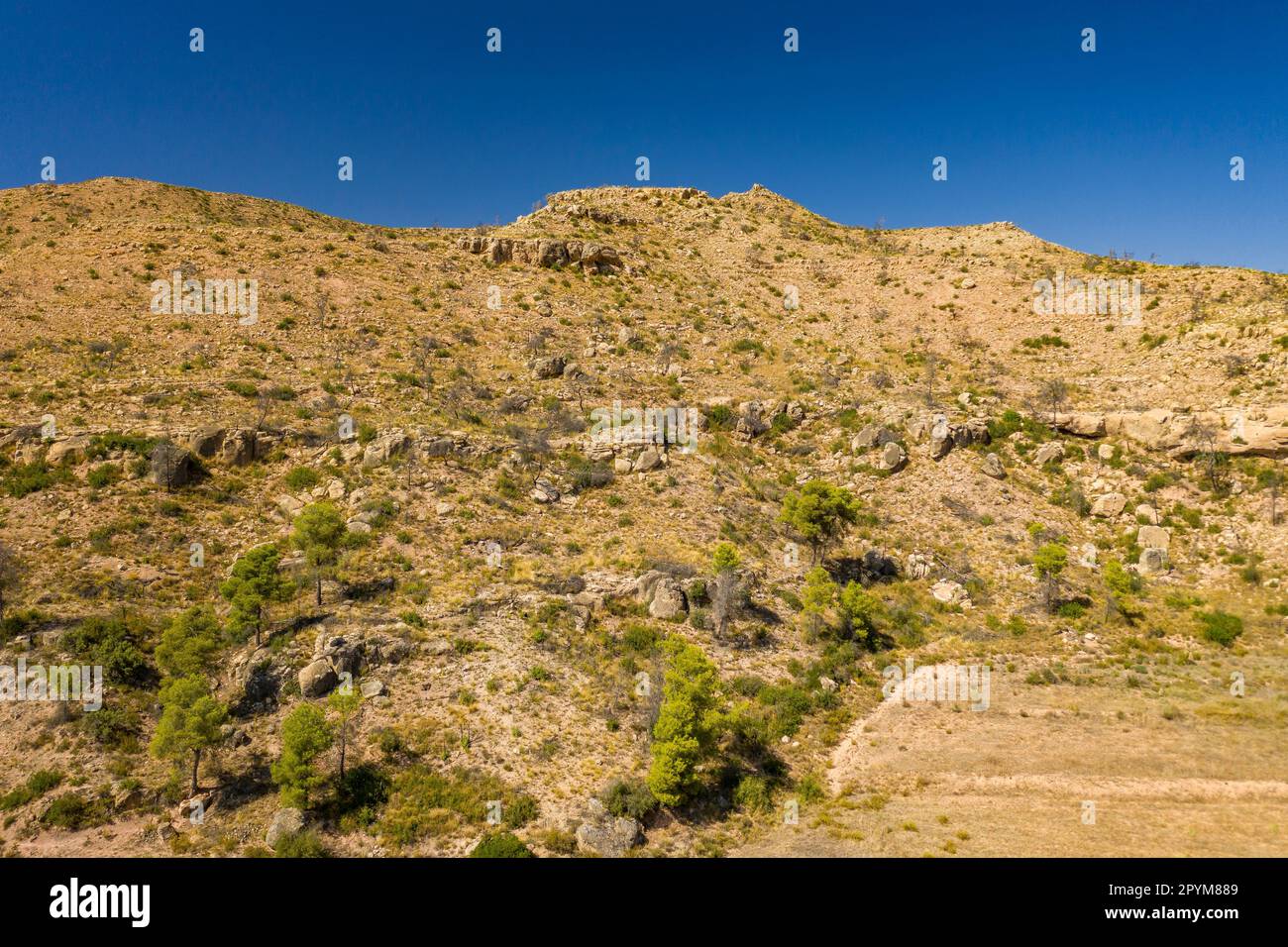 Aerial view of the area deserted by the Ribera d'Ebre wildfire of 2019 ...