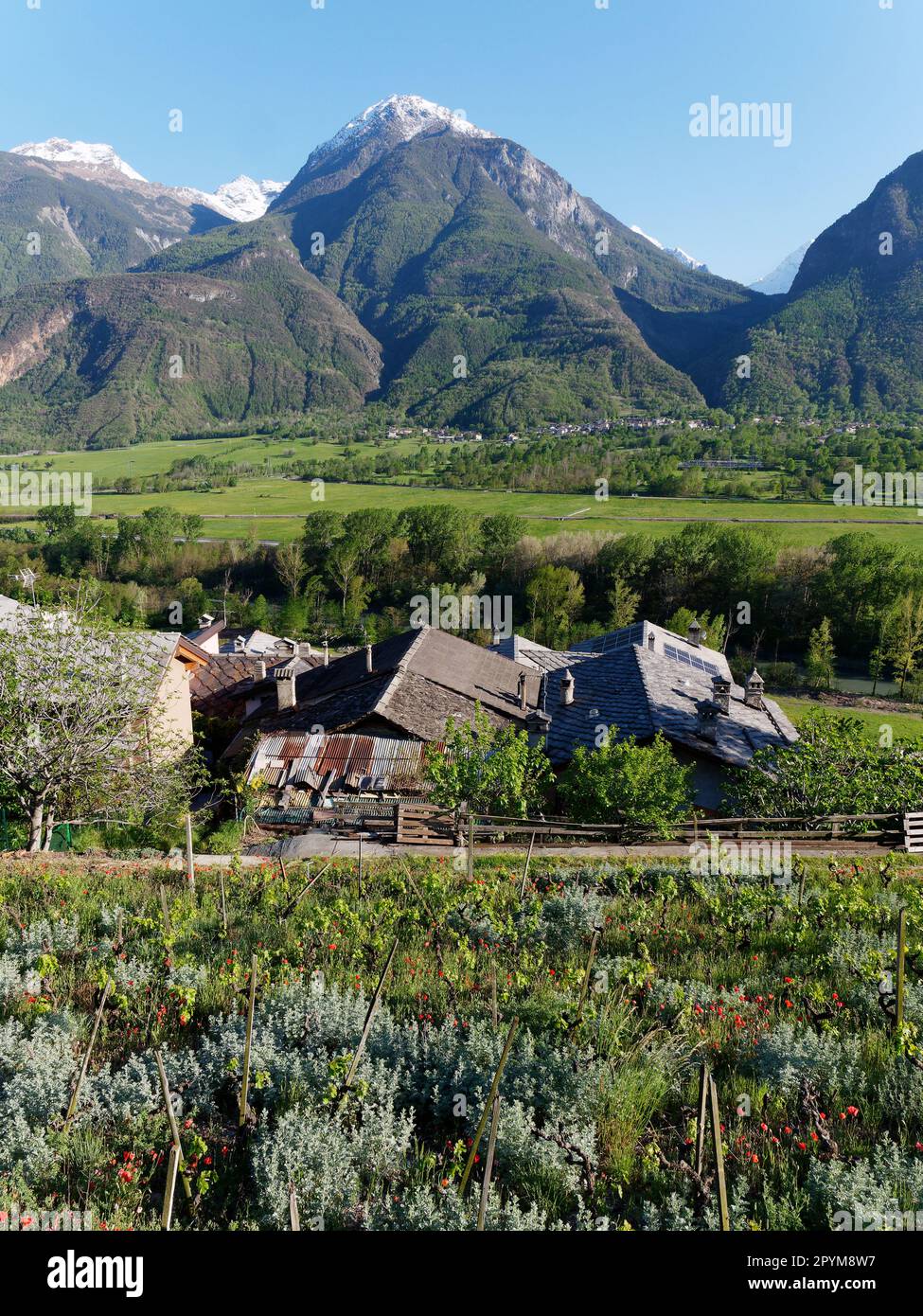 Small holding farm near Nus in the Aosta Valley, NW Italy. Green fields ...