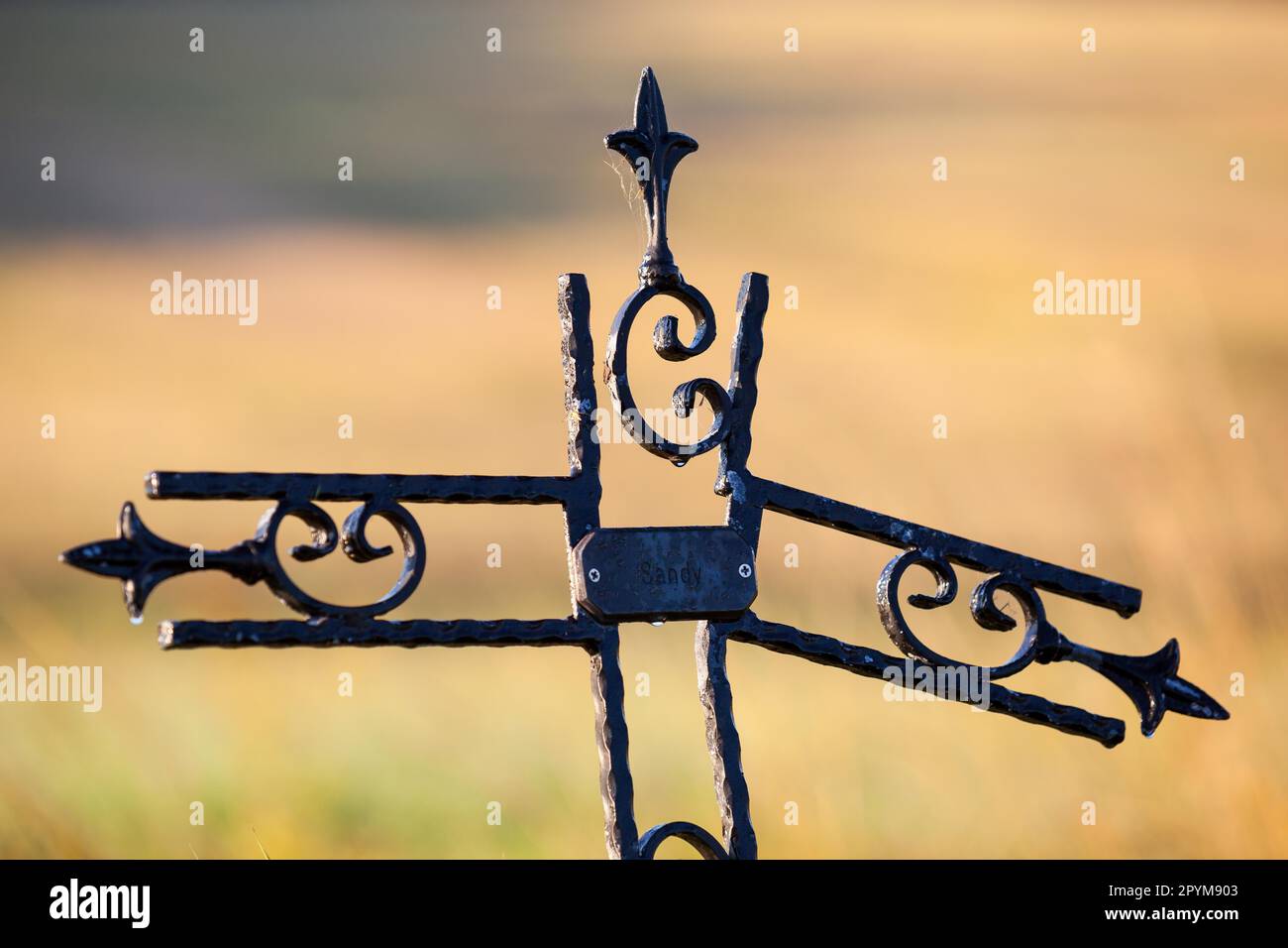 Cross Road Accident Victim Stock Photo - Alamy