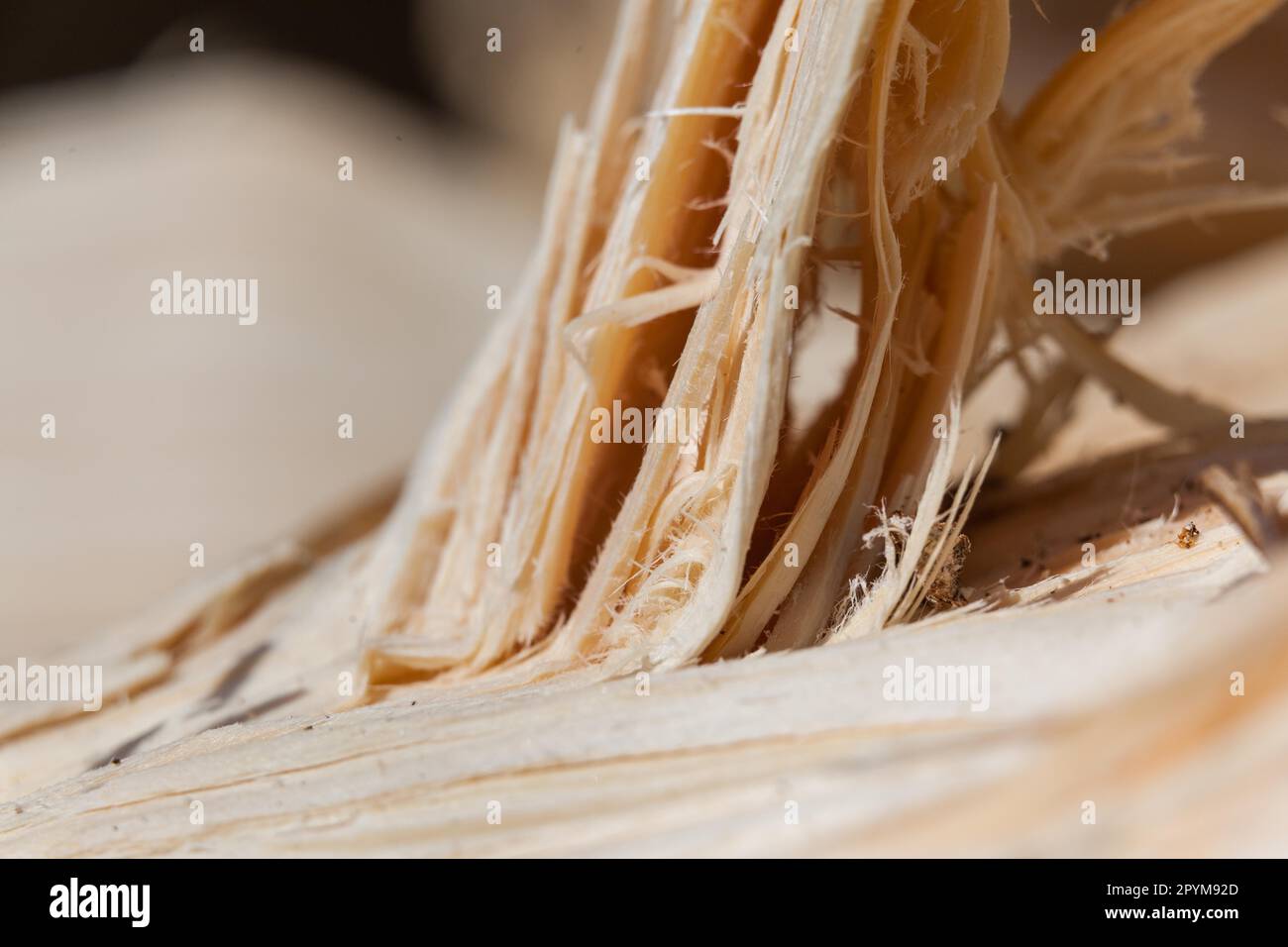 Wood break edge Stock Photo - Alamy