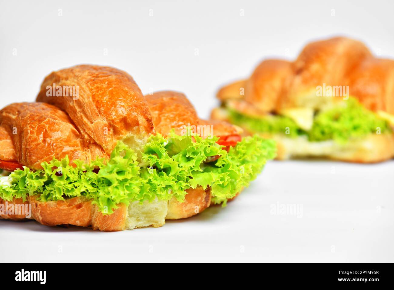 Crispy fresh croissant sandwich with lettuce on white background Stock ...