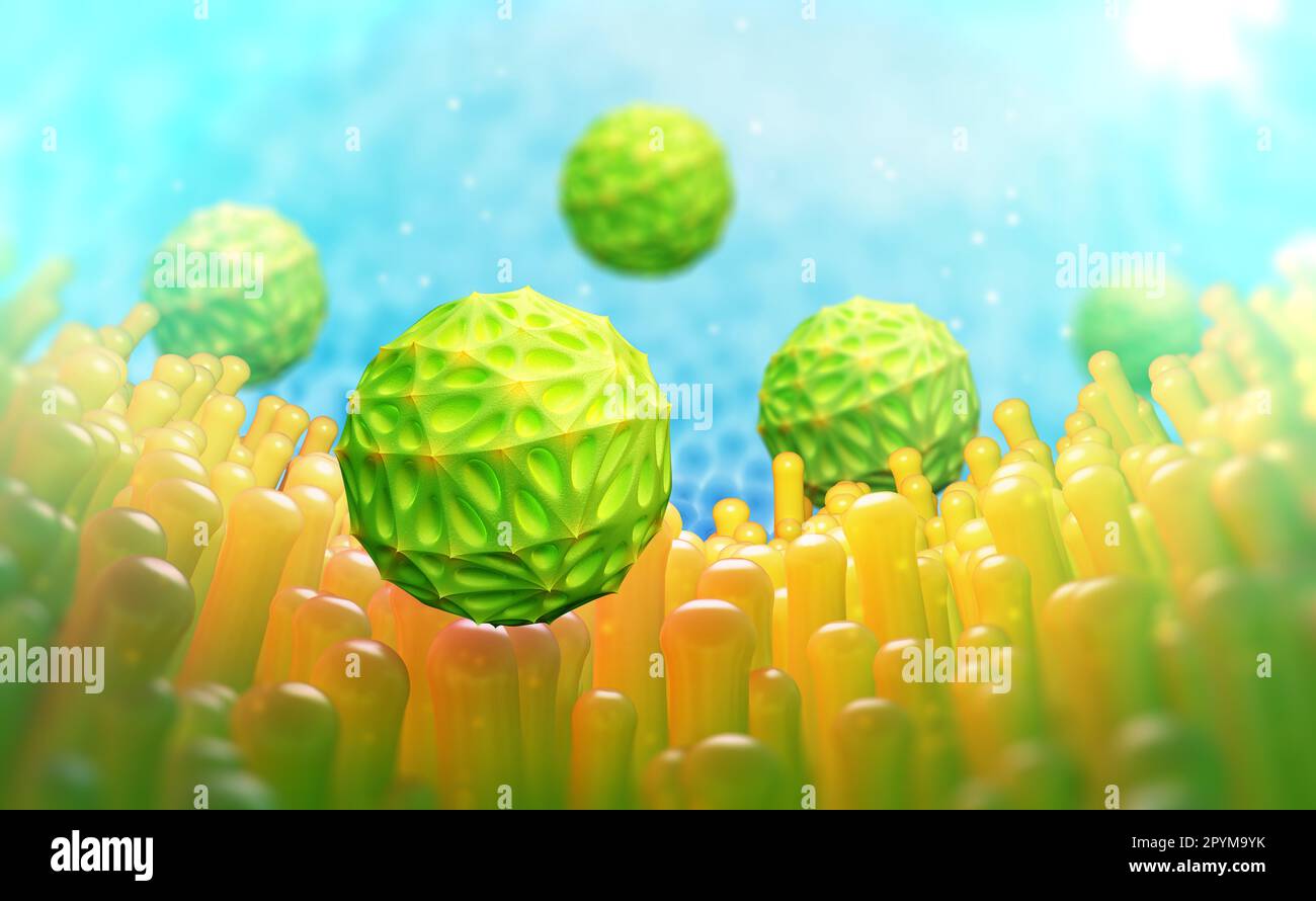 Flower pollen and allergic reaction. Pollen spores as allergens on the human mucosa. 3D ...