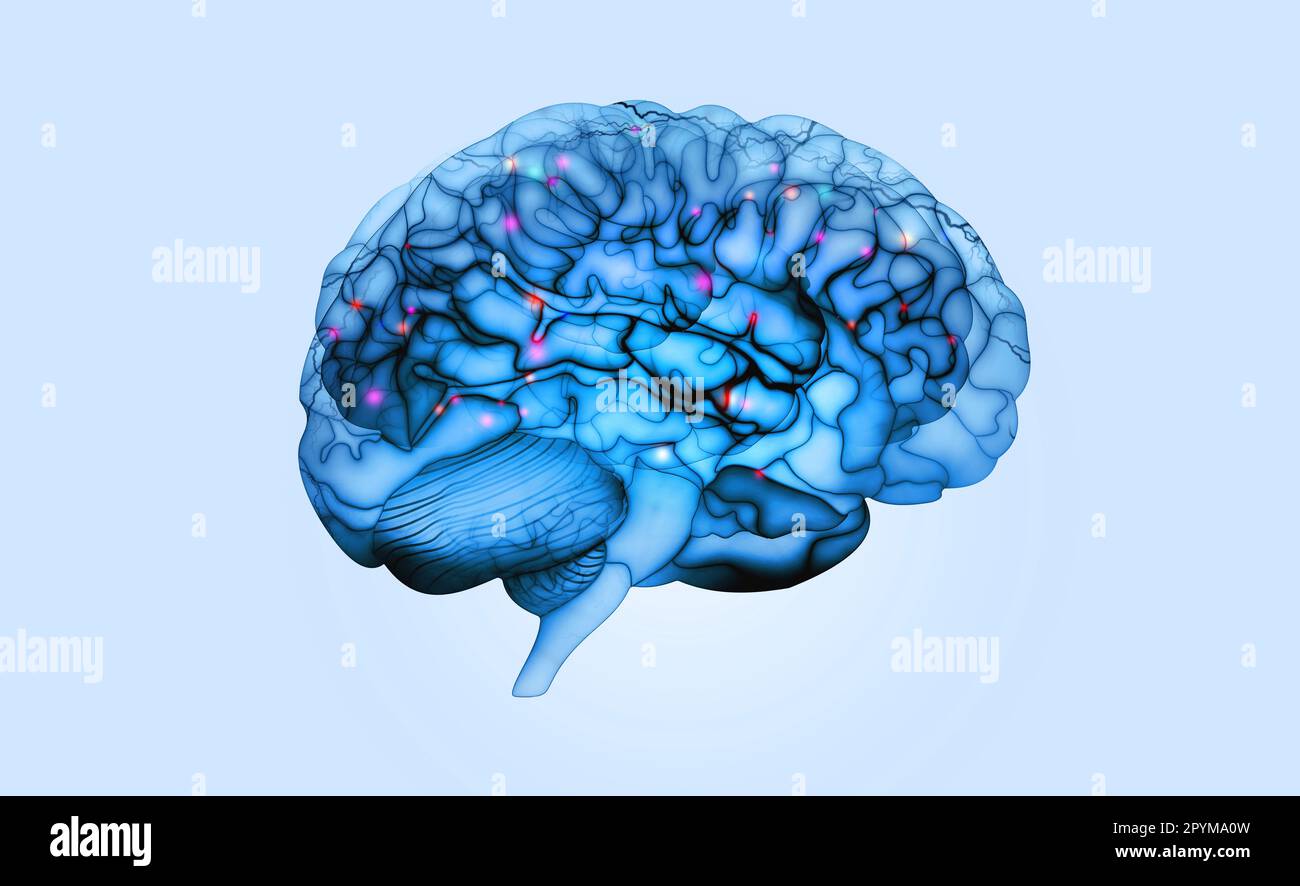 Brainstorm. Human brain 3D illustration. Contrast scan, X-ray ...